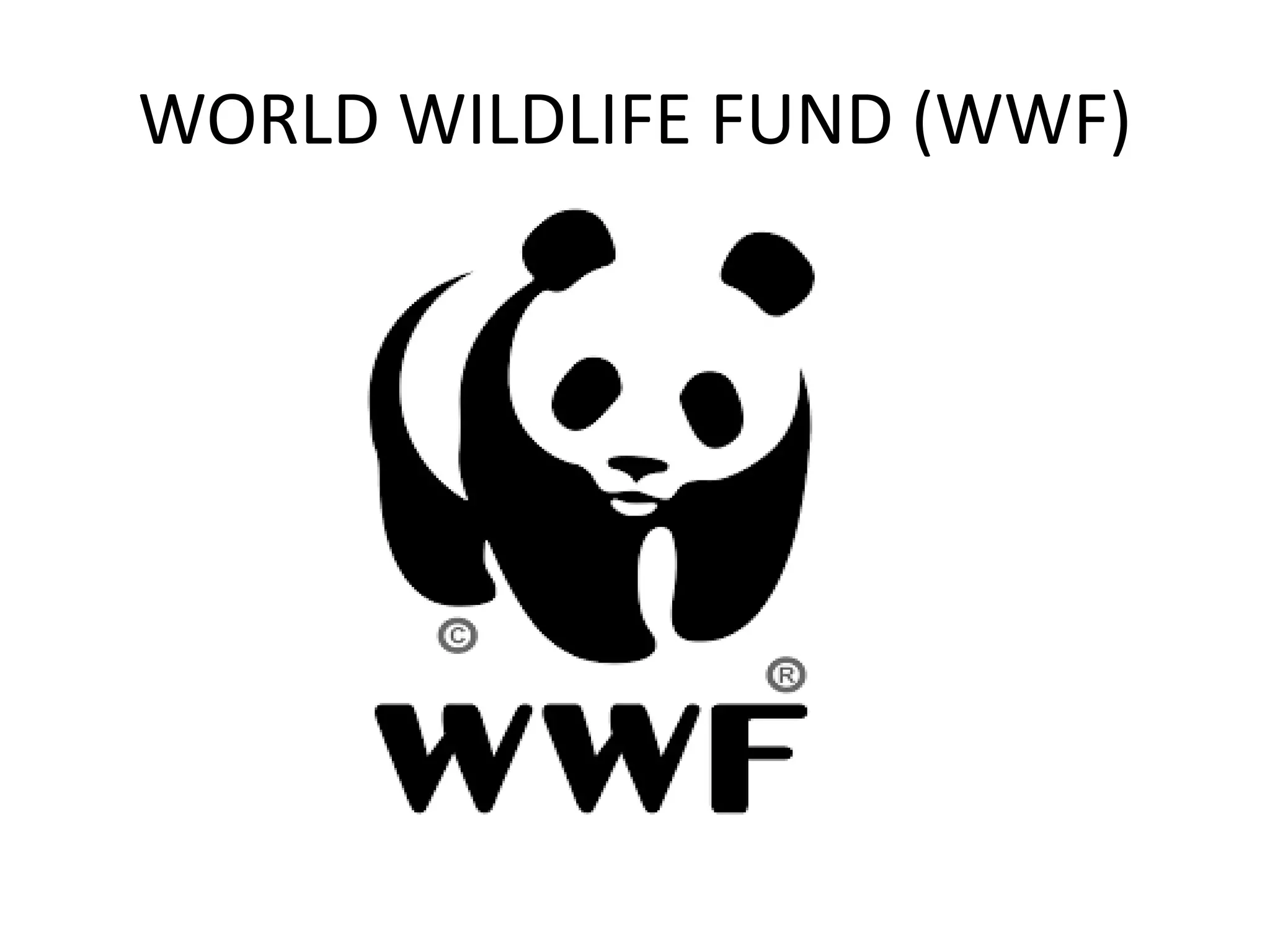 World wildlife fund (wwf) | PPTX