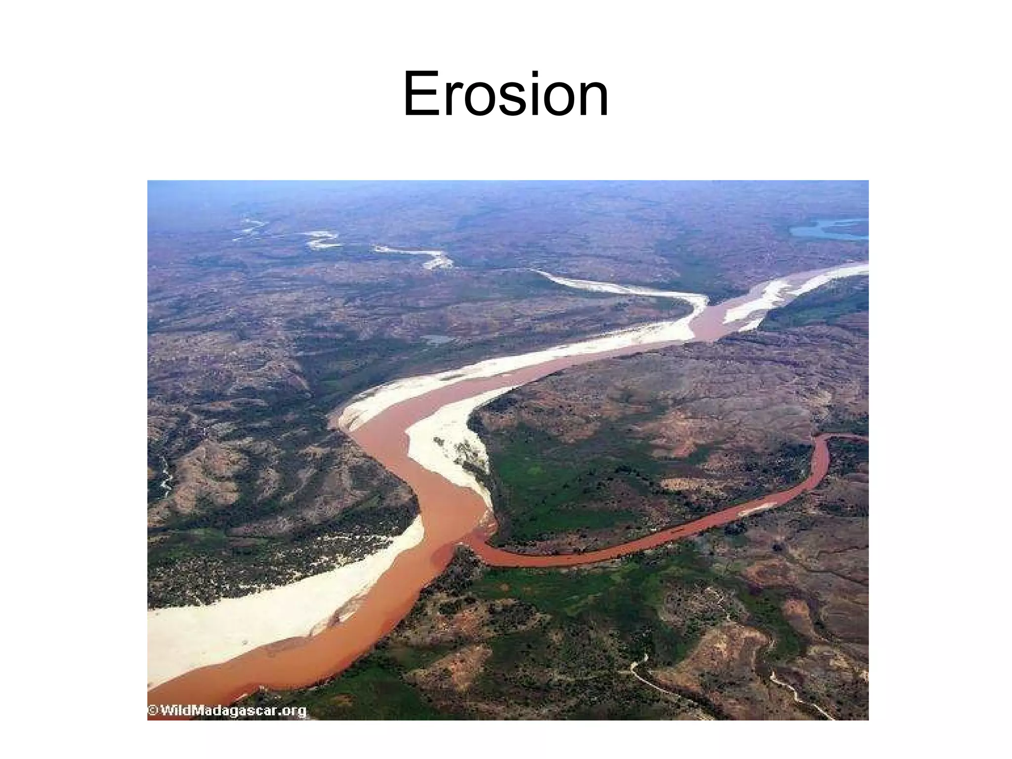 World without trees by Laurelinda | PPT