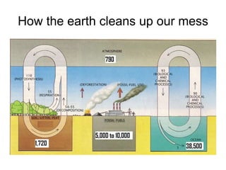 World without trees by Laurelinda | PPT
