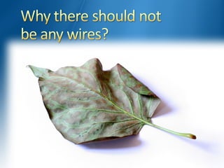 World Without Wires 2007 | PPT