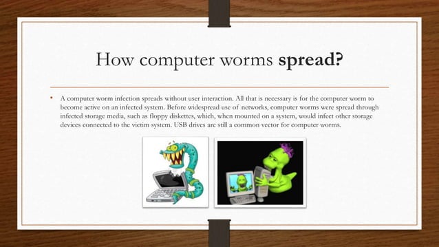 Worm | PPT | Free Download
