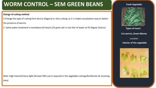 Worm control procedure | PPT