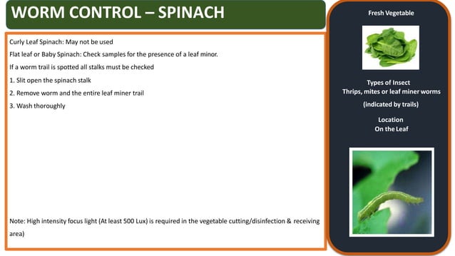 Worm control procedure | PPT