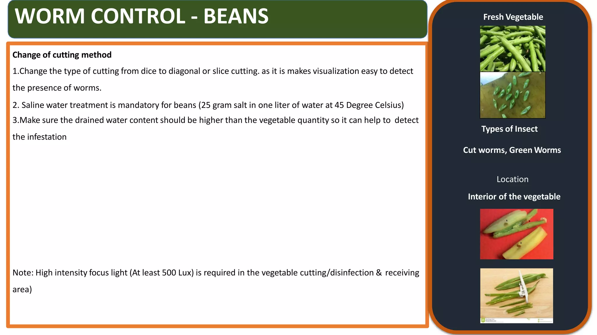 Worm Control Procedure.pdf