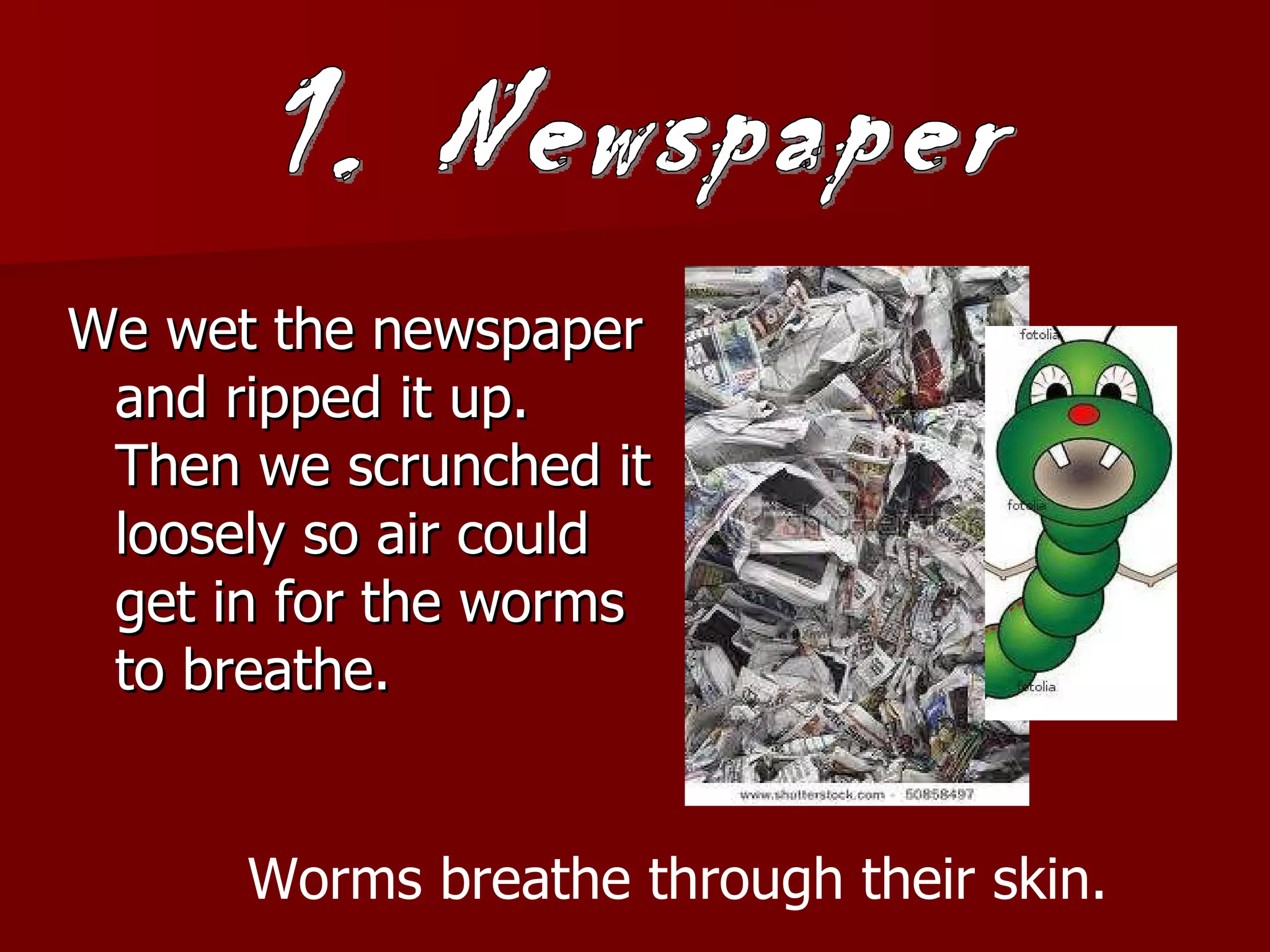 Worm farm slide show | PPT