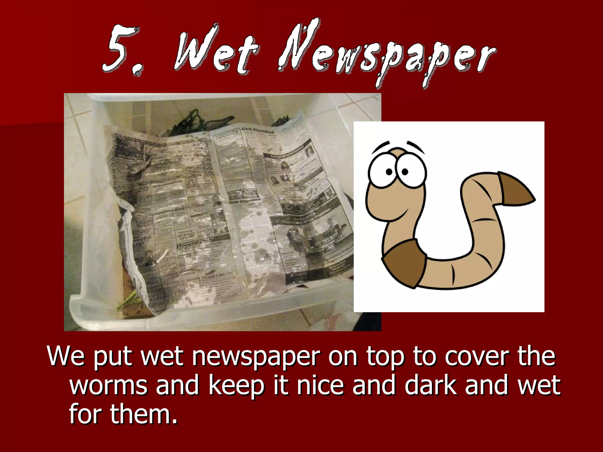 Worm farm slide show | PPT