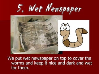 Worm farm slide show | PPT