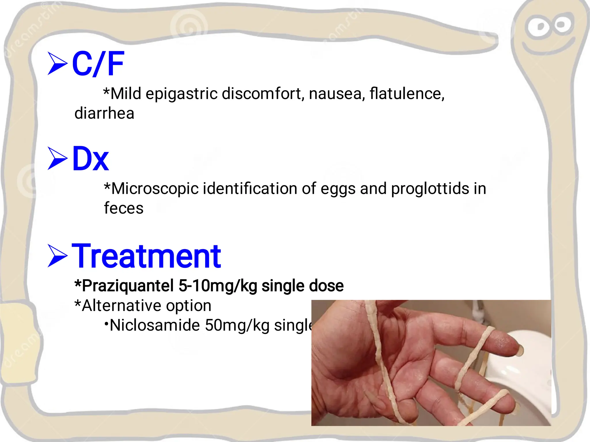 Worm Infections-WPS Office-1.pdf | Infectious Diseases | Diseases and ...