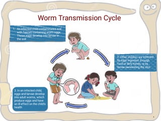 Worm Infections-WPS Office-1.pdf