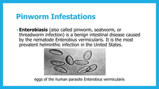 Worm infestation | PDF