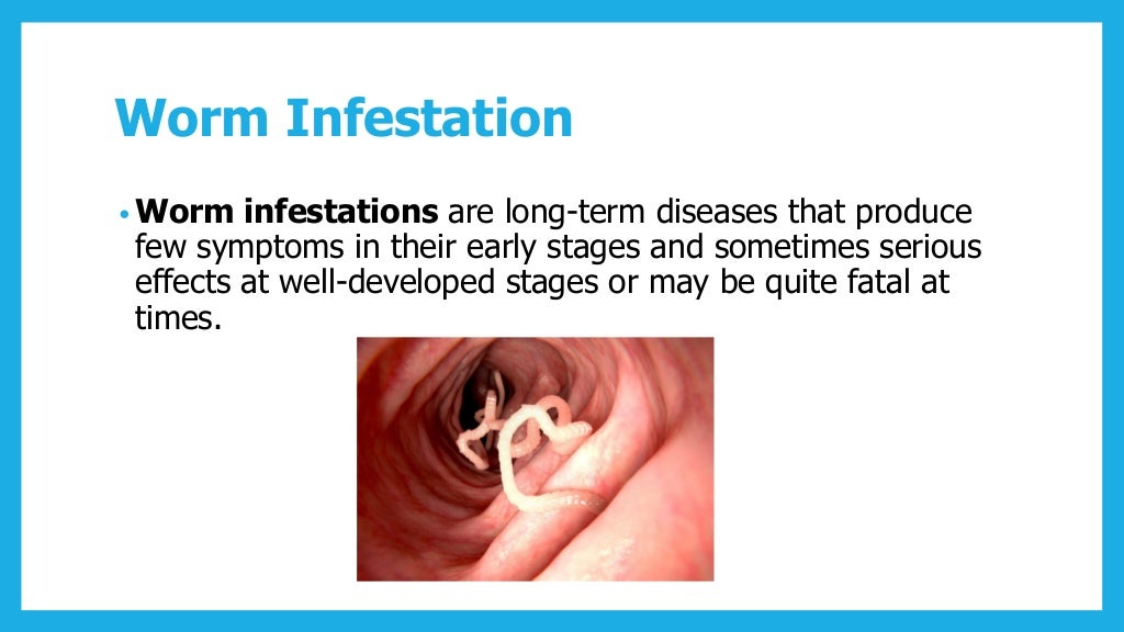 Worm Infestation worm-infestation
