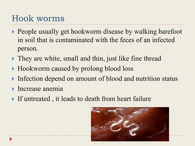 Worm infestation.. | PPTX