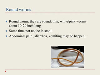 Worm infestation.. | PPTX