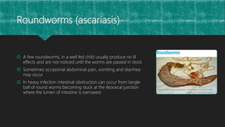 Worm infestation | PPTX