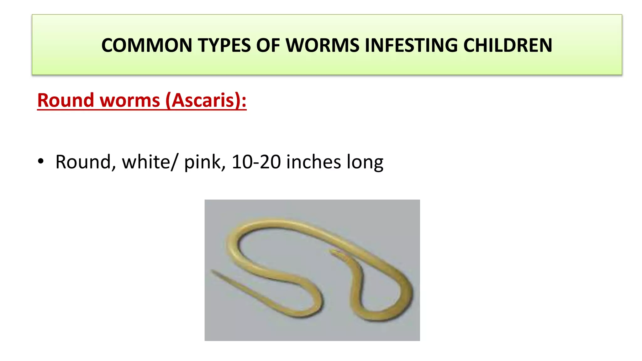 Worm infestation | PPTX