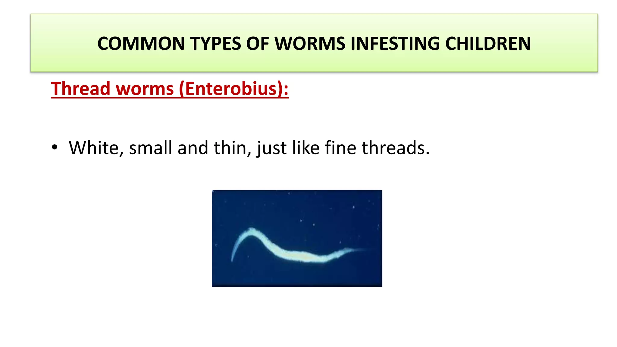 Worm infestation | PPTX