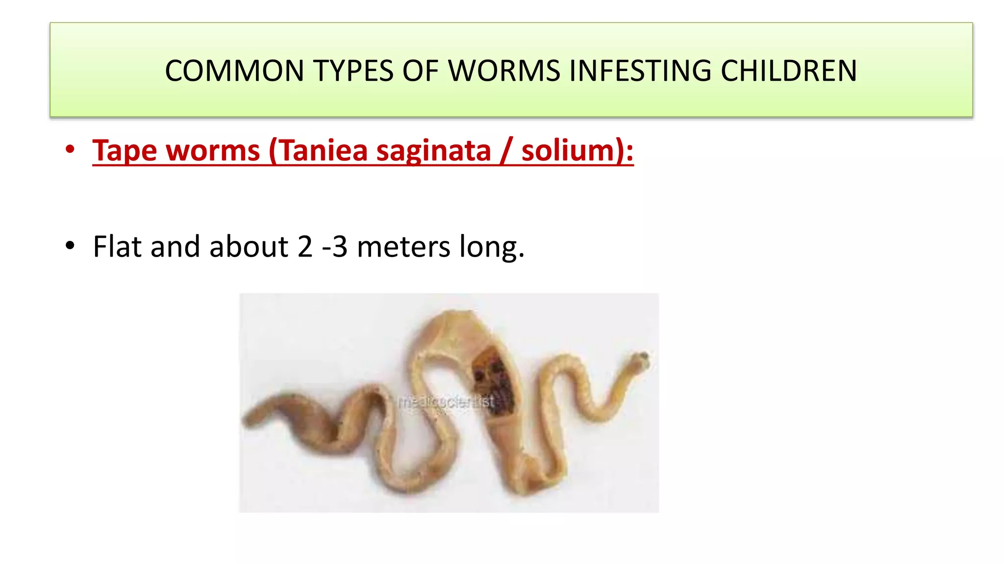Worm infestation | PPTX
