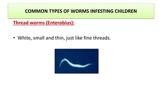 Worm infestation | PPTX