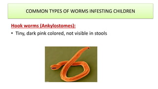 Worm infestation | PPTX