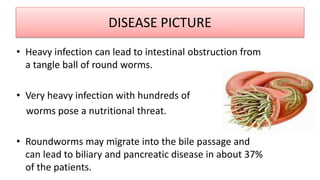 Worm infestation | PPTX