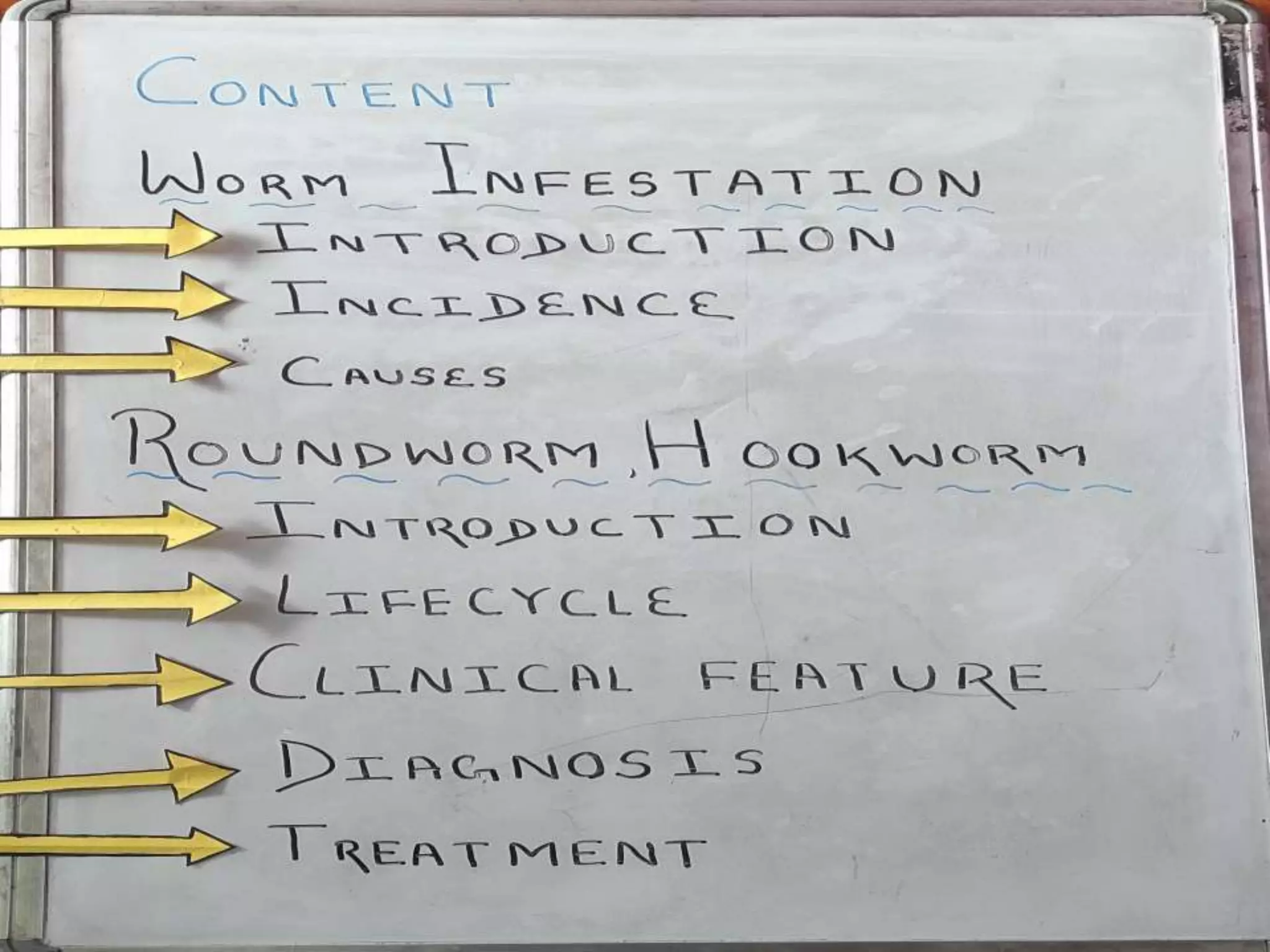 Worm infestation.pptx