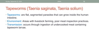 Worm Infestation presentation for nursing .pptx | Infectious Diseases ...