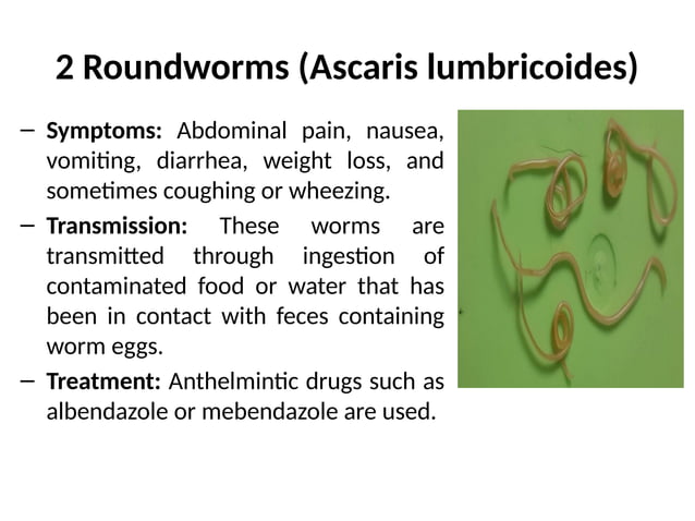 S.Y. G.N.M. CHILD HEALTH NURSING-WORM INFESTATION.pptx