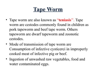 Worm infestation 2.pptx nursing lecture ppt | PPTX