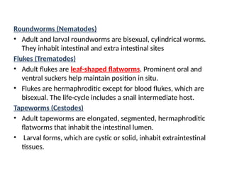 Worm infestation 2.pptx nursing lecture ppt | PPT