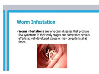 worm infestation | PPT
