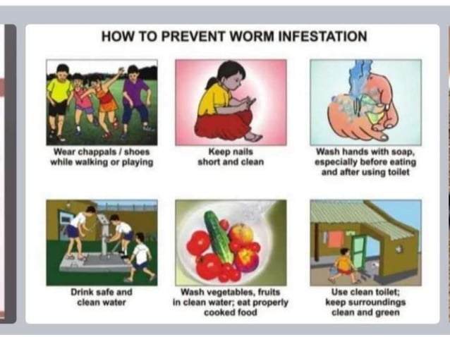 worm infestation | PPTX | Infectious Diseases | Diseases and Conditions