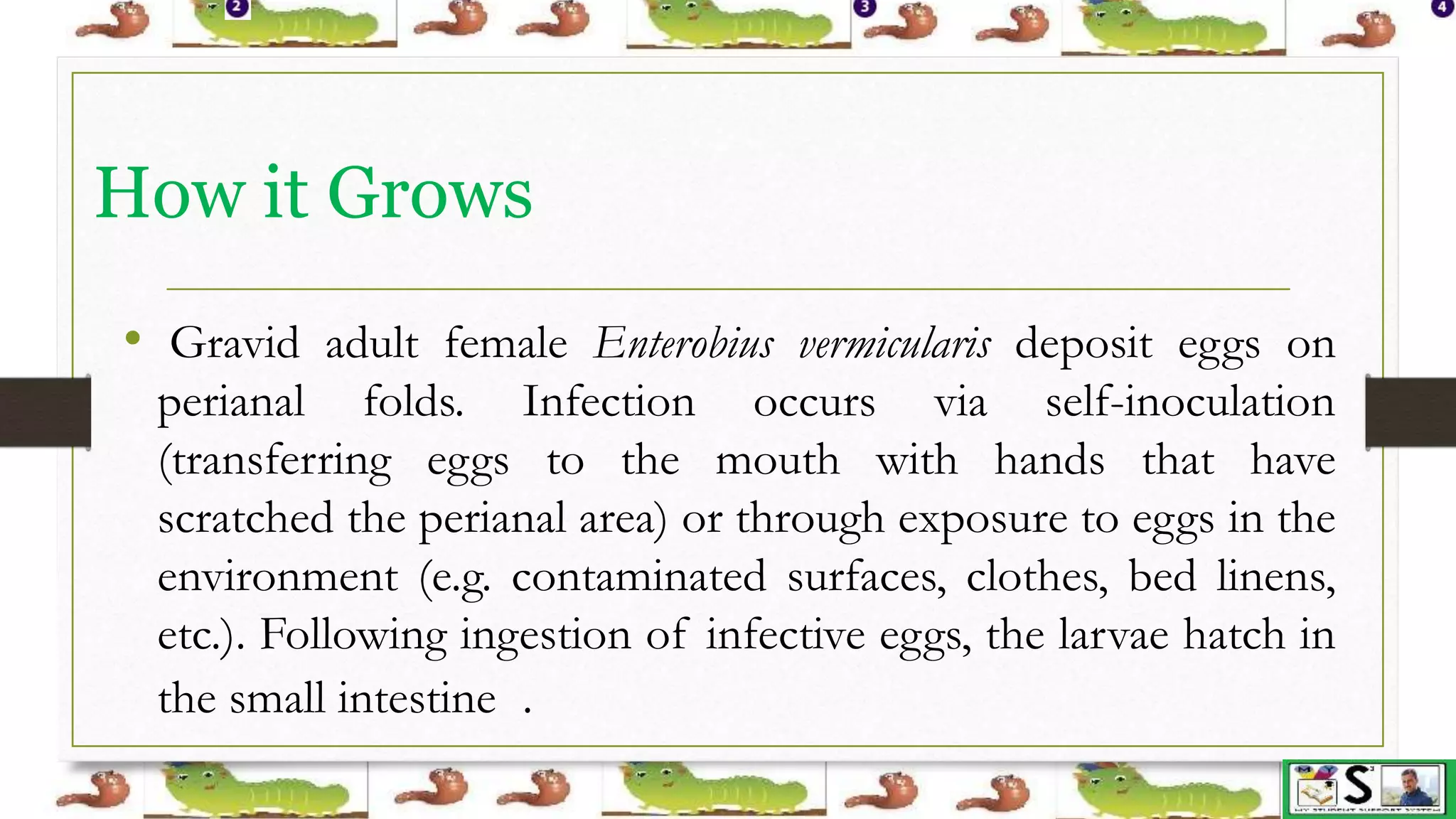 Worm infestation in children english | PPTX