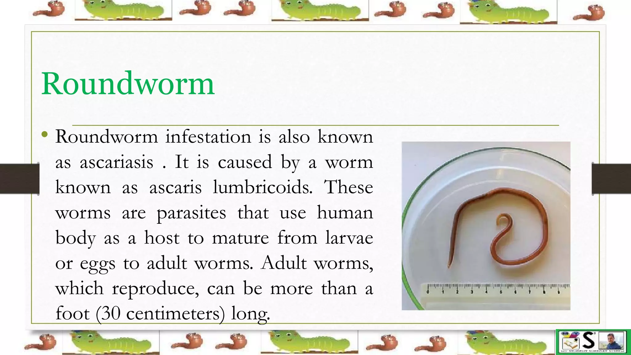 Worm infestation in children english | PPTX