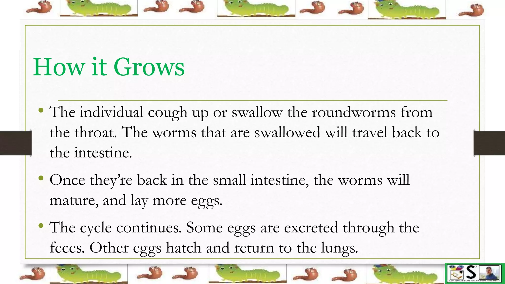 Worm infestation in children english | PPTX