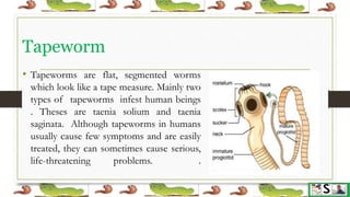 Worm infestation in children english | PPTX