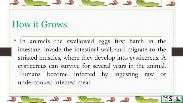 Worm infestation in children english | PPTX | Infectious Diseases ...