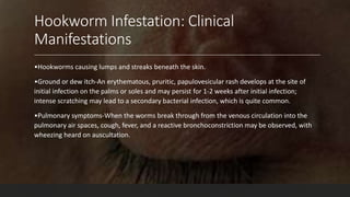 Worm Infestations in Children (Child Health Nursing).pptx
