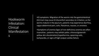 Worm Infestations in Children (Child Health Nursing).pptx