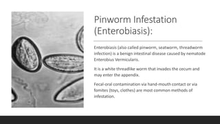 Worm Infestations in Children (Child Health Nursing).pptx