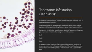 Worm Infestations in Children (Child Health Nursing).pptx