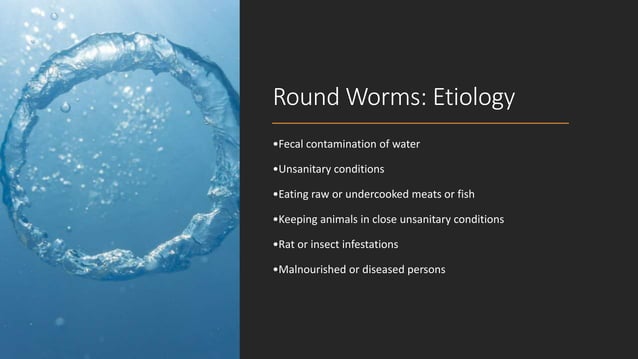 Worm Infestations in Children (Child Health Nursing).pptx