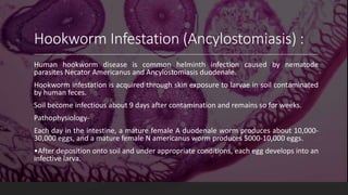 Worm Infestations in Children (Child Health Nursing).pptx