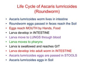 Worm infestations in children 2021 | PDF