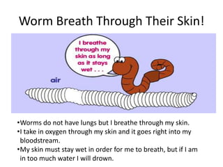 Worms | PPTX