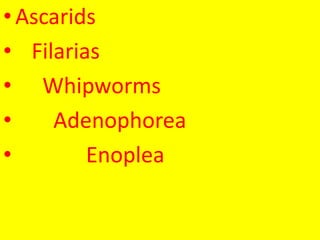 Worms | PPT