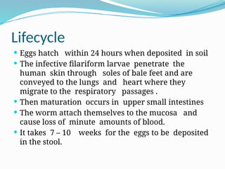 Nursing management of children with intestinal worms | PPTX