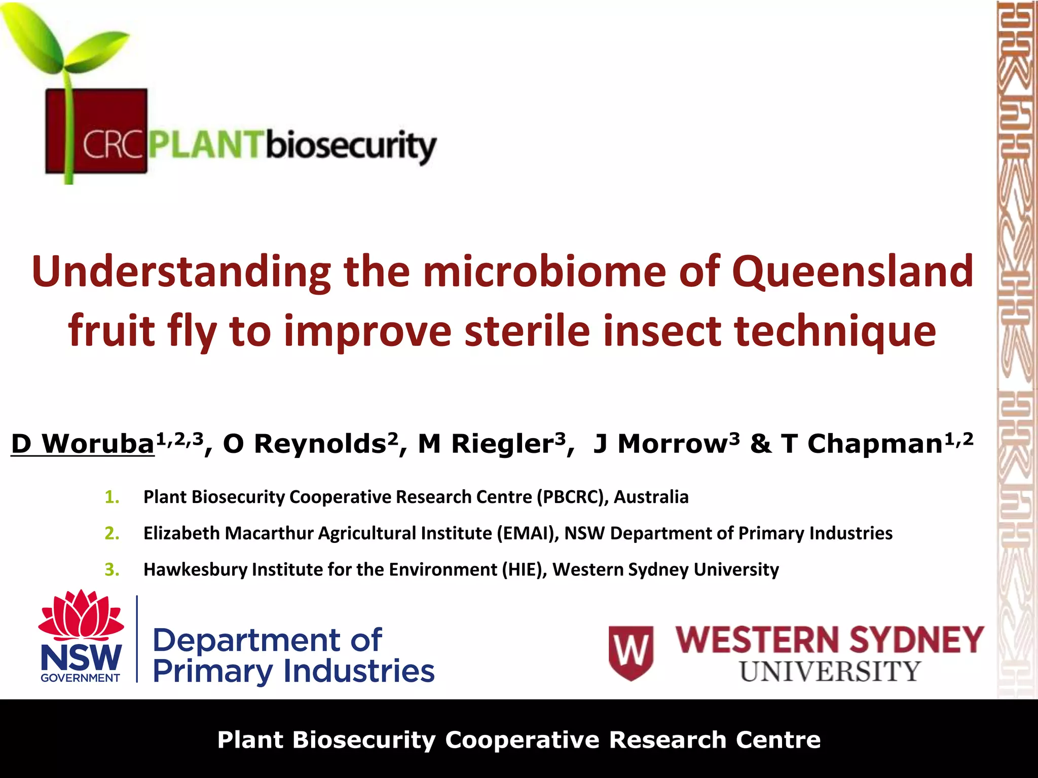 Session 7: Probiotic diets to increase Queensland fruit fly male ...