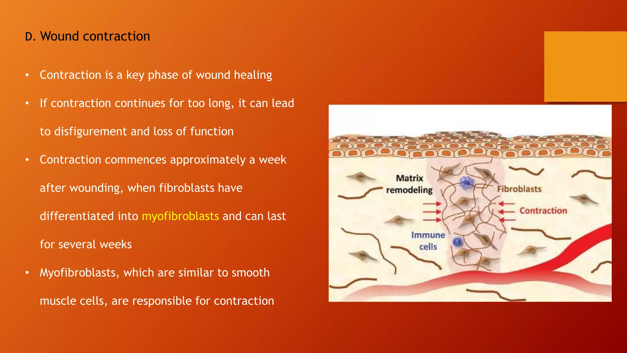 WOUND.pptx