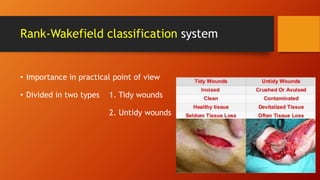 WOUND.pptx