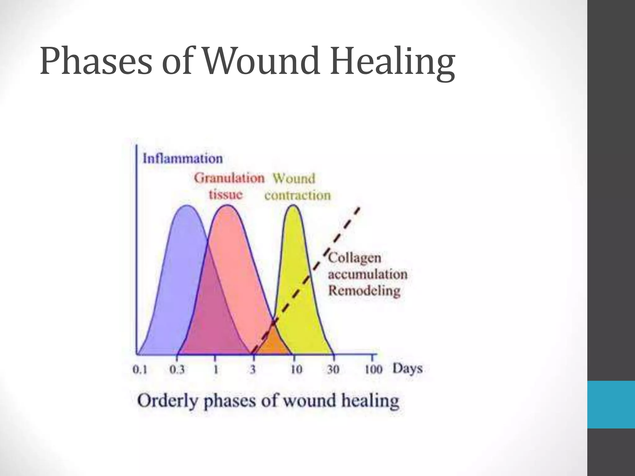 wound-care.ppt